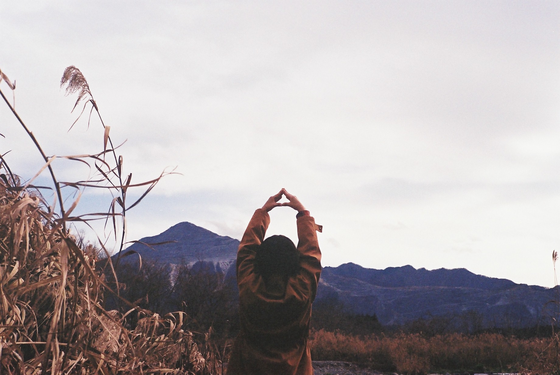 DOCUMENTARY DREAM SHOW — YAMAGATA in Tokyo 2016 | tokyofilmgoer.com